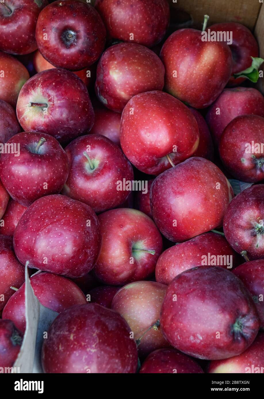 Fresh red apple fruits for sale at street market in Tbilisi, Georgia ...