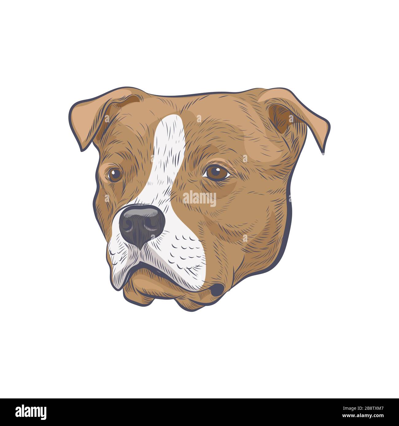 Staffordshire terrier amstaff dog Stock Vector Images - Alamy