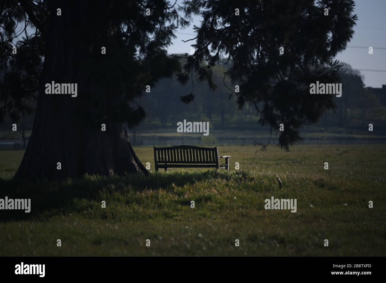 Empty bench trees in park bench hi-res stock photography and images - Alamy