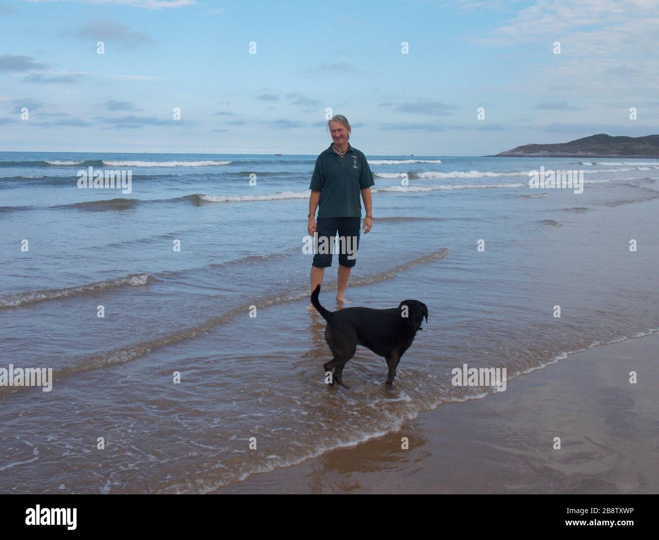 Dog walking on Devon beach Stock Photo - Alamy