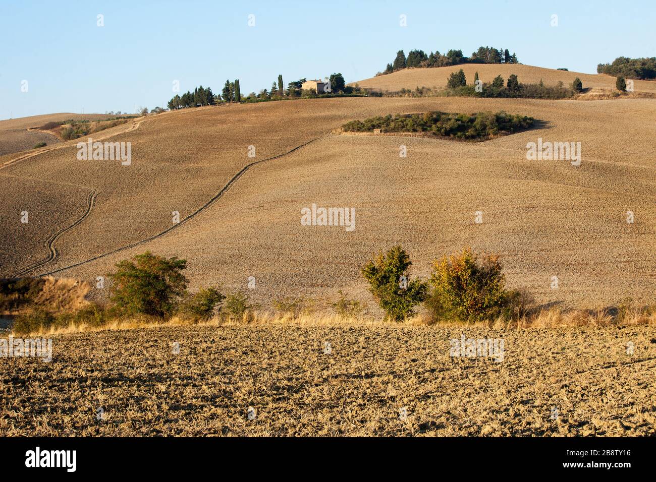 The rural landscape of the Tuscany. Italy Stock Photo - Alamy