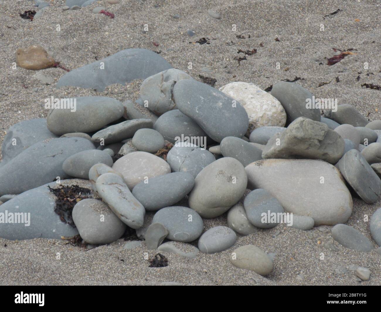 pebbles Devon beach Stock Photo - Alamy