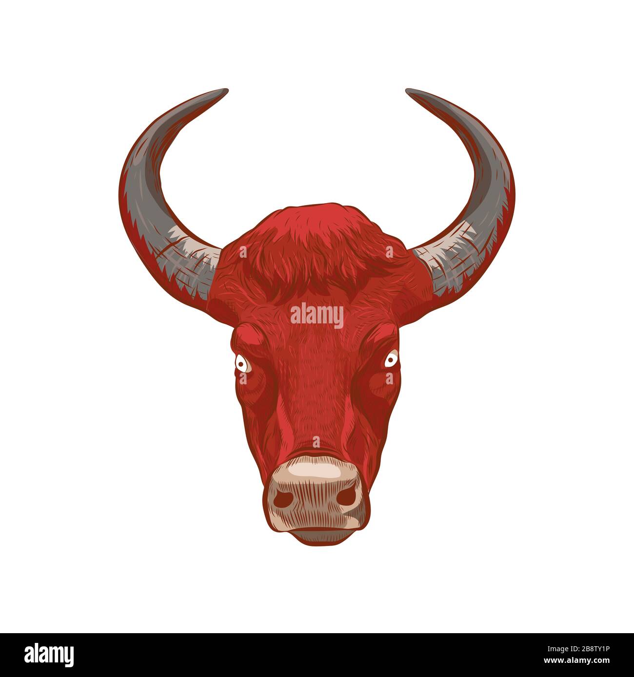 Red ox with horns isolated on white background Stock Vector Image & Art ...