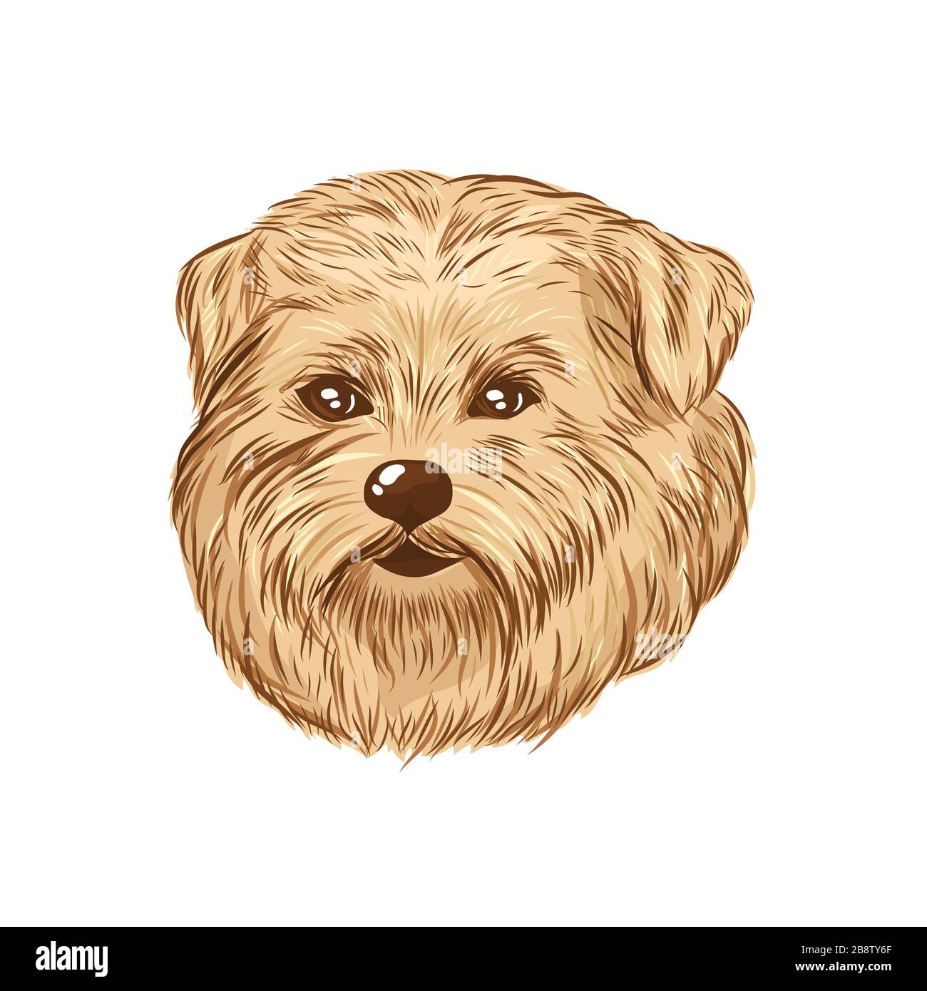 Dog face isolated on white background Stock Vector Image & Art - Alamy