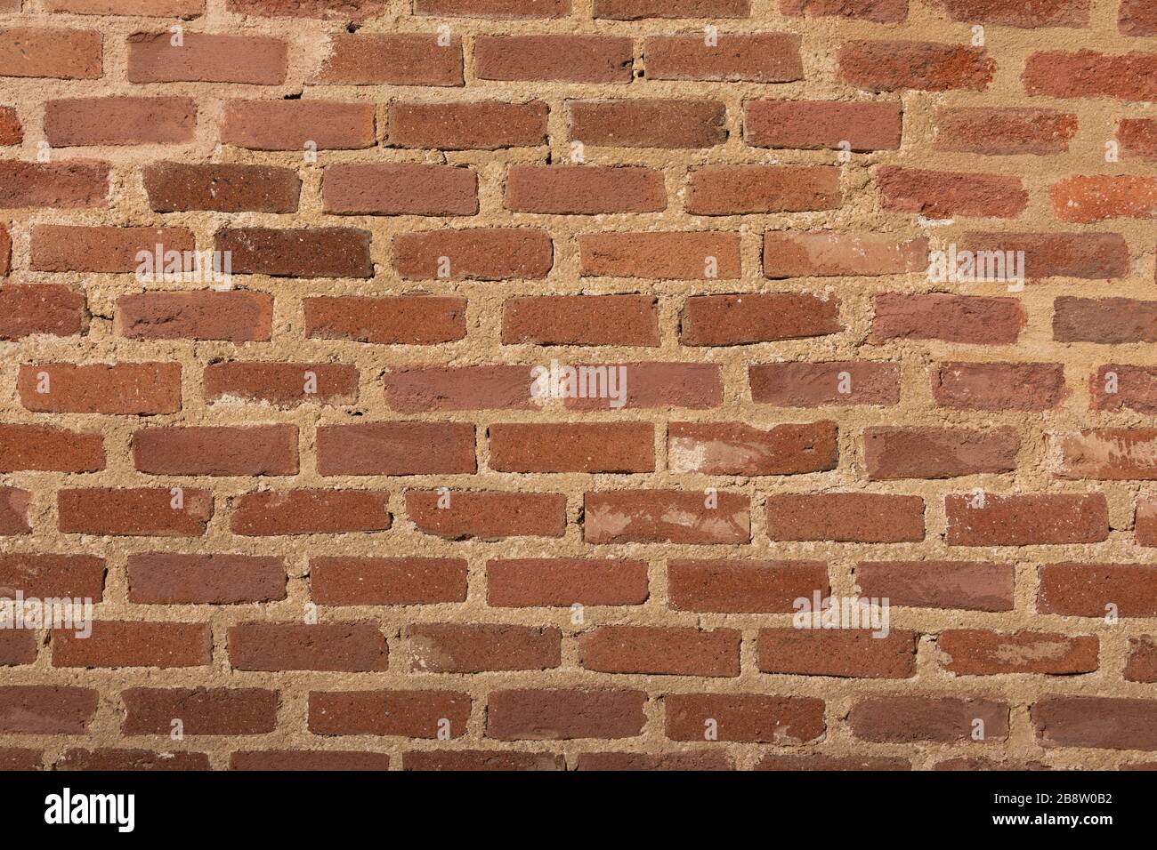 Detail of the texture, illuminated by afternoon light, that form the ...