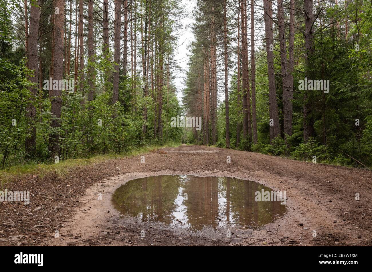 Dirty rural road with large puddle, countryside travel background Stock ...