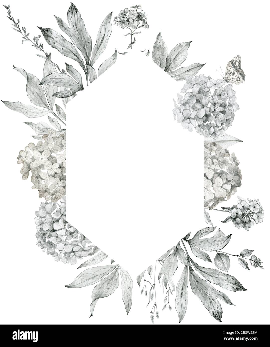 Hydrangea Border High Resolution Stock Photography and Images - Alamy