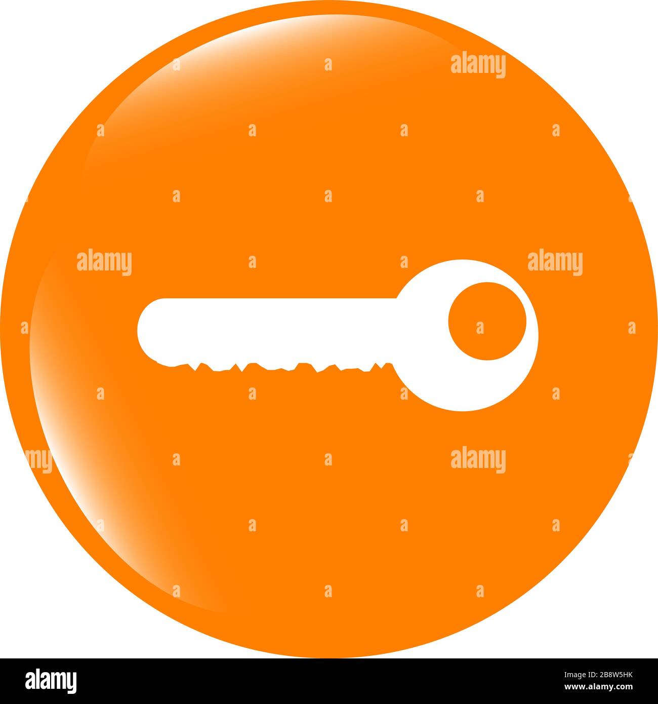 key icon on glossy icon button . Trendy flat style sign isolated on ...