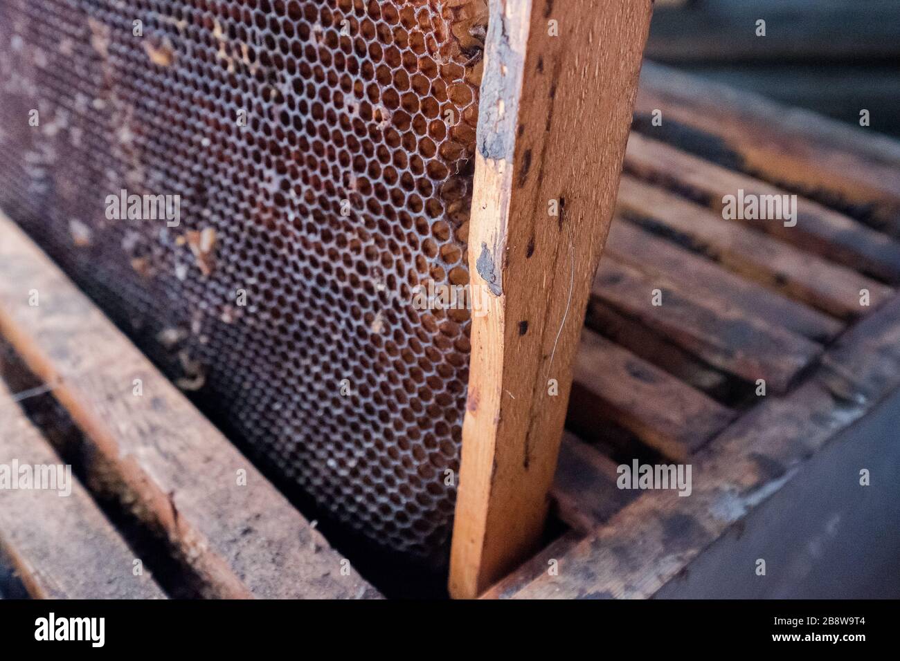 Old hive. Wooden houses for bees Stock Photo - Alamy