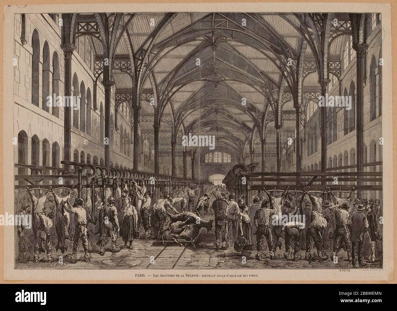 Slaughter pigs hi-res stock photography and images - Alamy