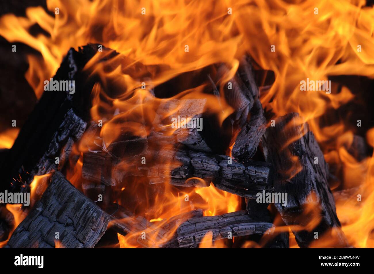 Campfire fire kindled in a camping trip Stock Photo - Alamy
