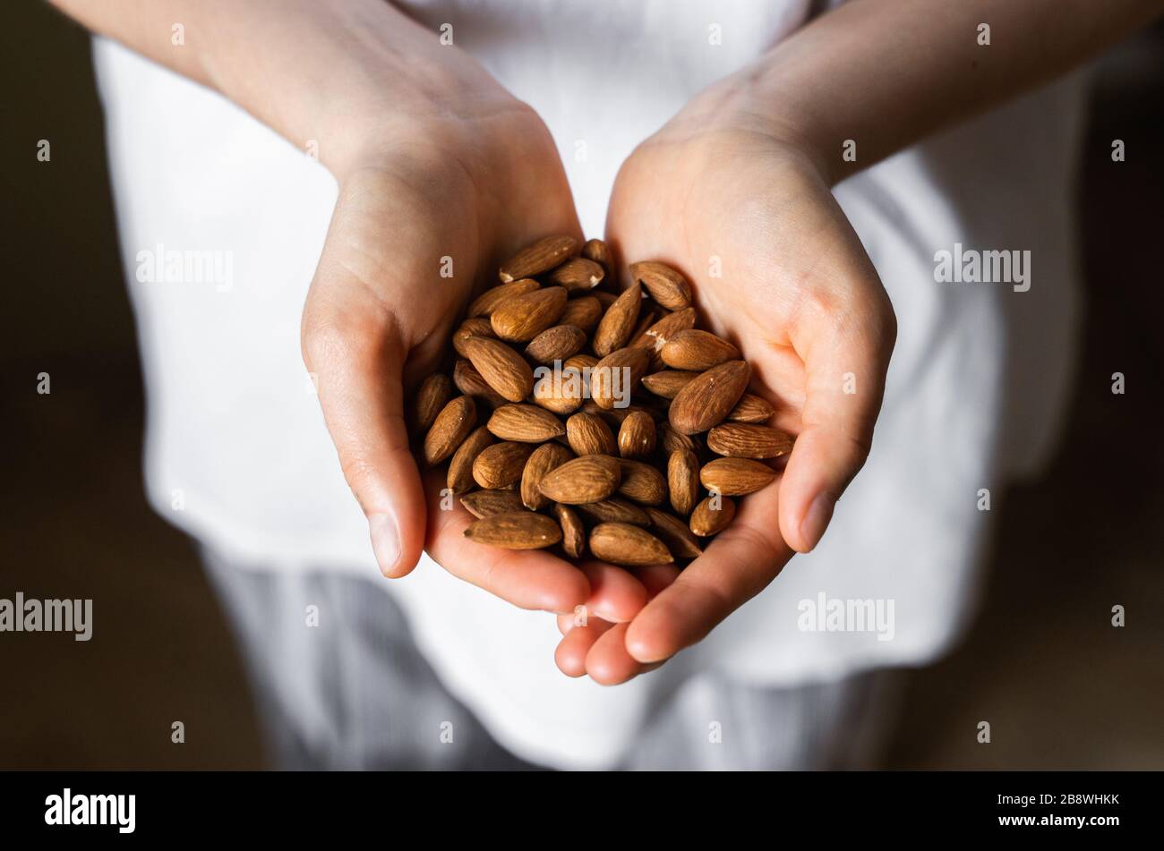Almond in a womans hands. Almonds nuts is a healthy vegetarian protein ...