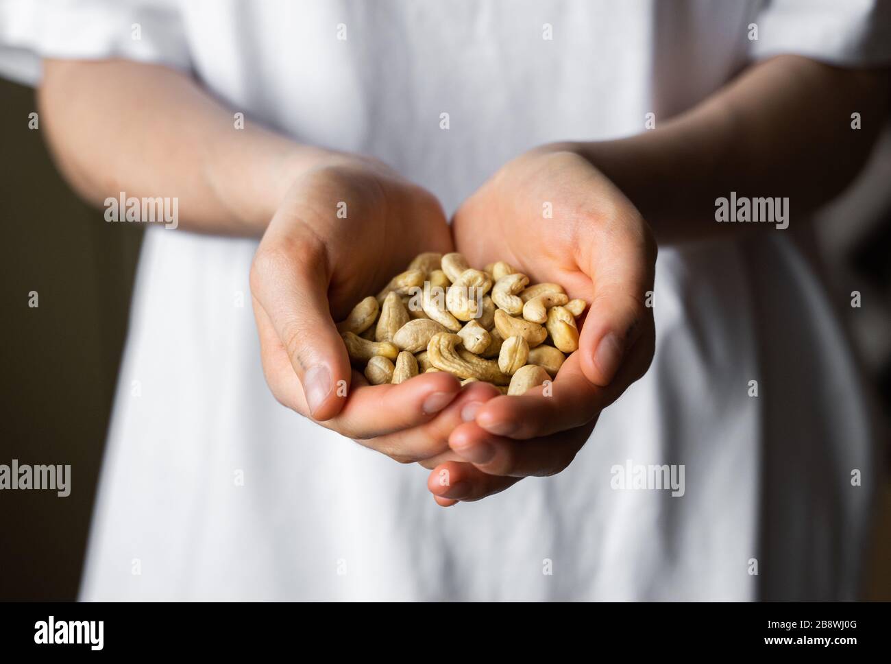 Cashew nuts in a womans hands. Cashew nut is a healthy vegetarian ...
