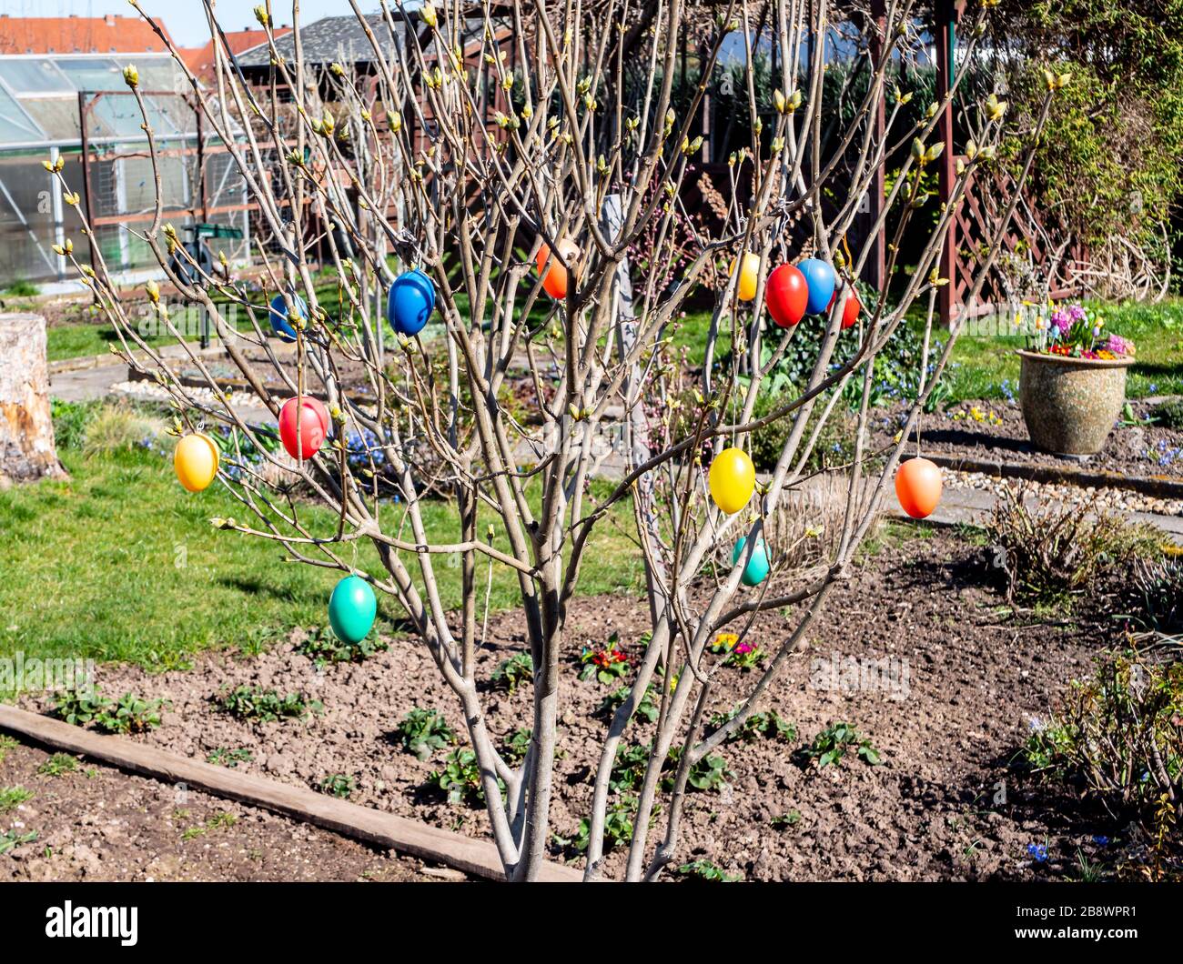 Easter Shrub High Resolution Stock Photography and Images - Alamy