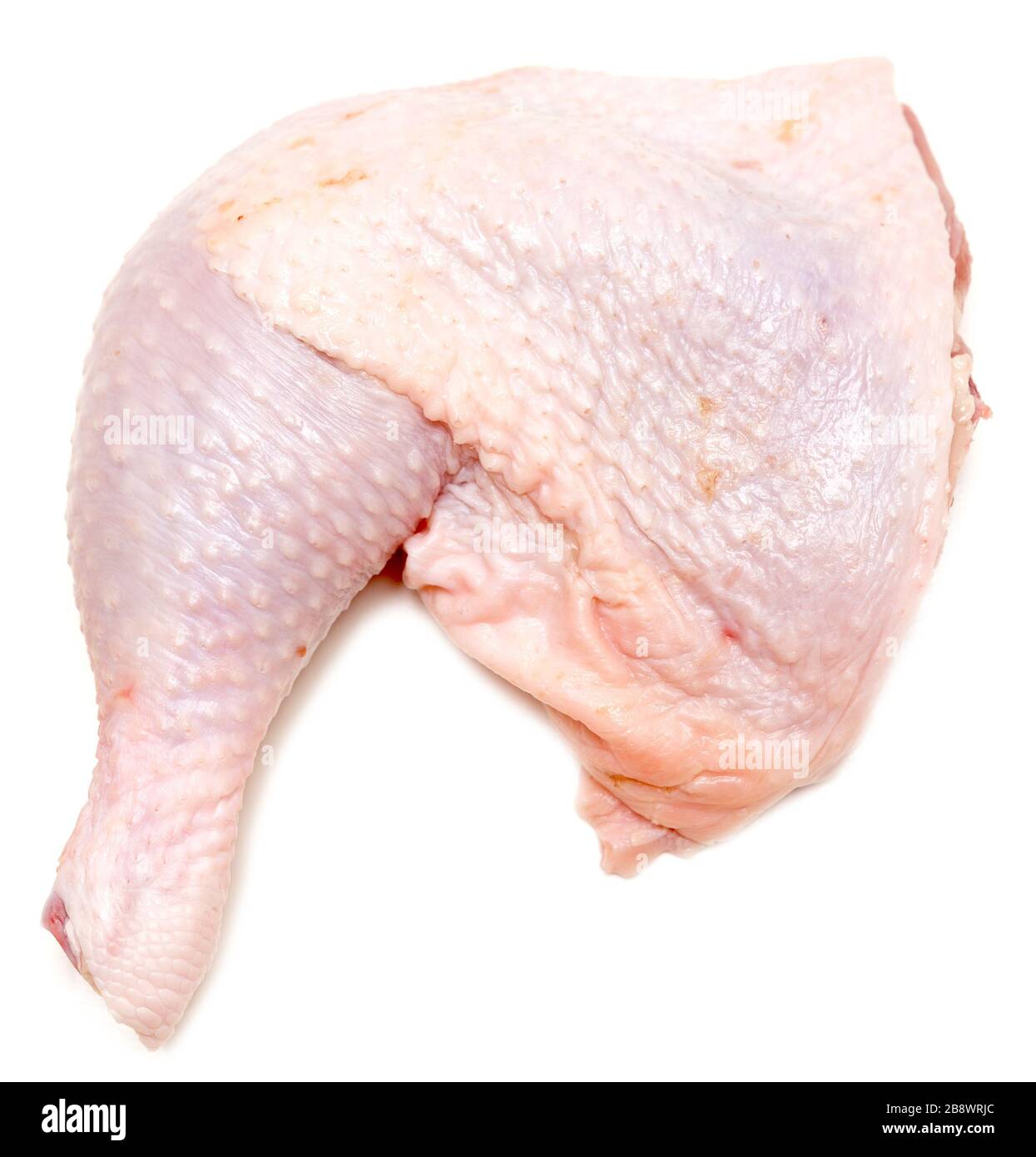 Chicken leg isolated on white background Stock Photo - Alamy