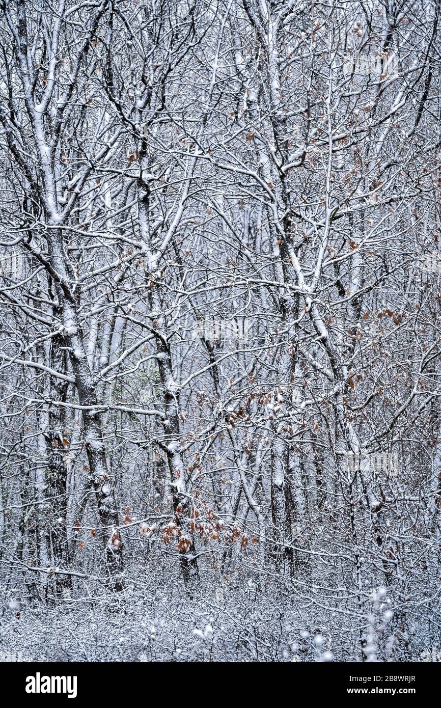 Norwegian road march hi-res stock photography and images - Alamy