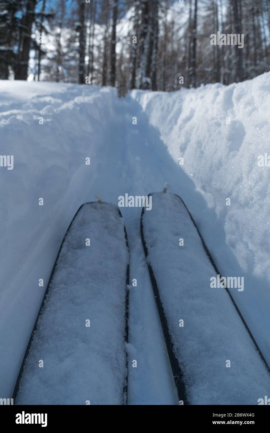 Deep snow tracks hi-res stock photography and images - Alamy