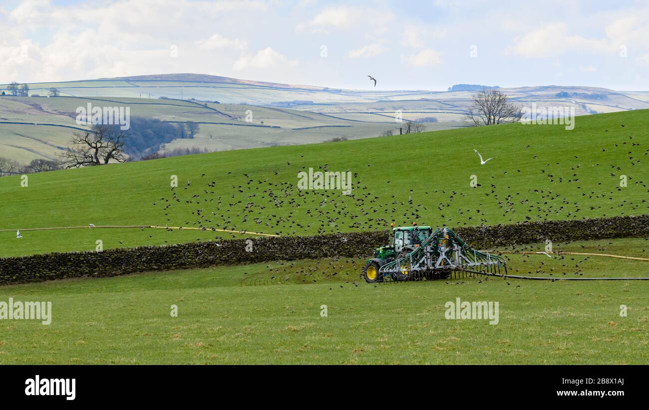 Farmer working on farm, driving tractor on scenic farmland pasture ...
