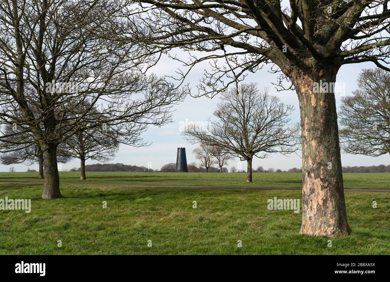 Black Mill, a local landmark, flanked by leafless trees under blue sky ...