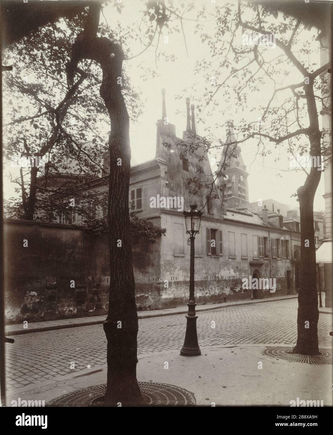 Daubenton hi-res stock photography and images - Alamy