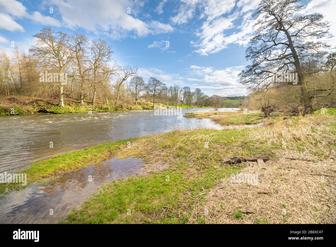Beck river water riverbank hi-res stock photography and images - Alamy