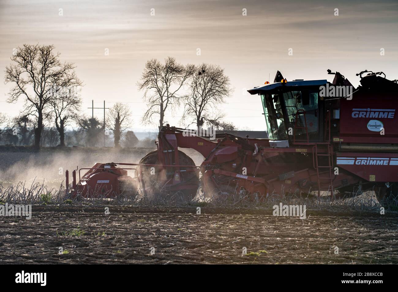 Irish farm labour hi-res stock photography and images - Alamy