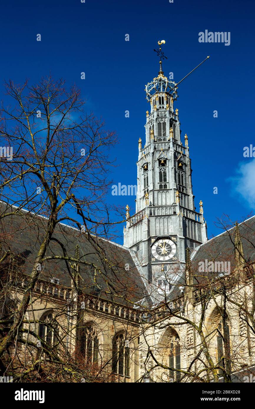 The great church (Grote Kerk) in the city of Haarlem has dominated the ...