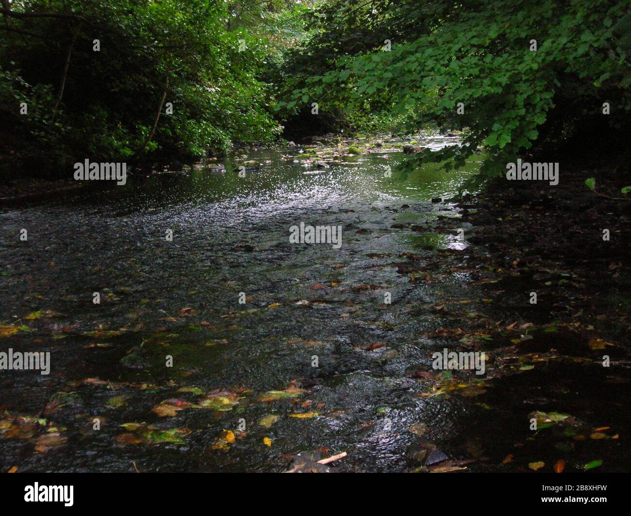 The Lugton Water In The Eglinton Country Park High Resolution Stock ...