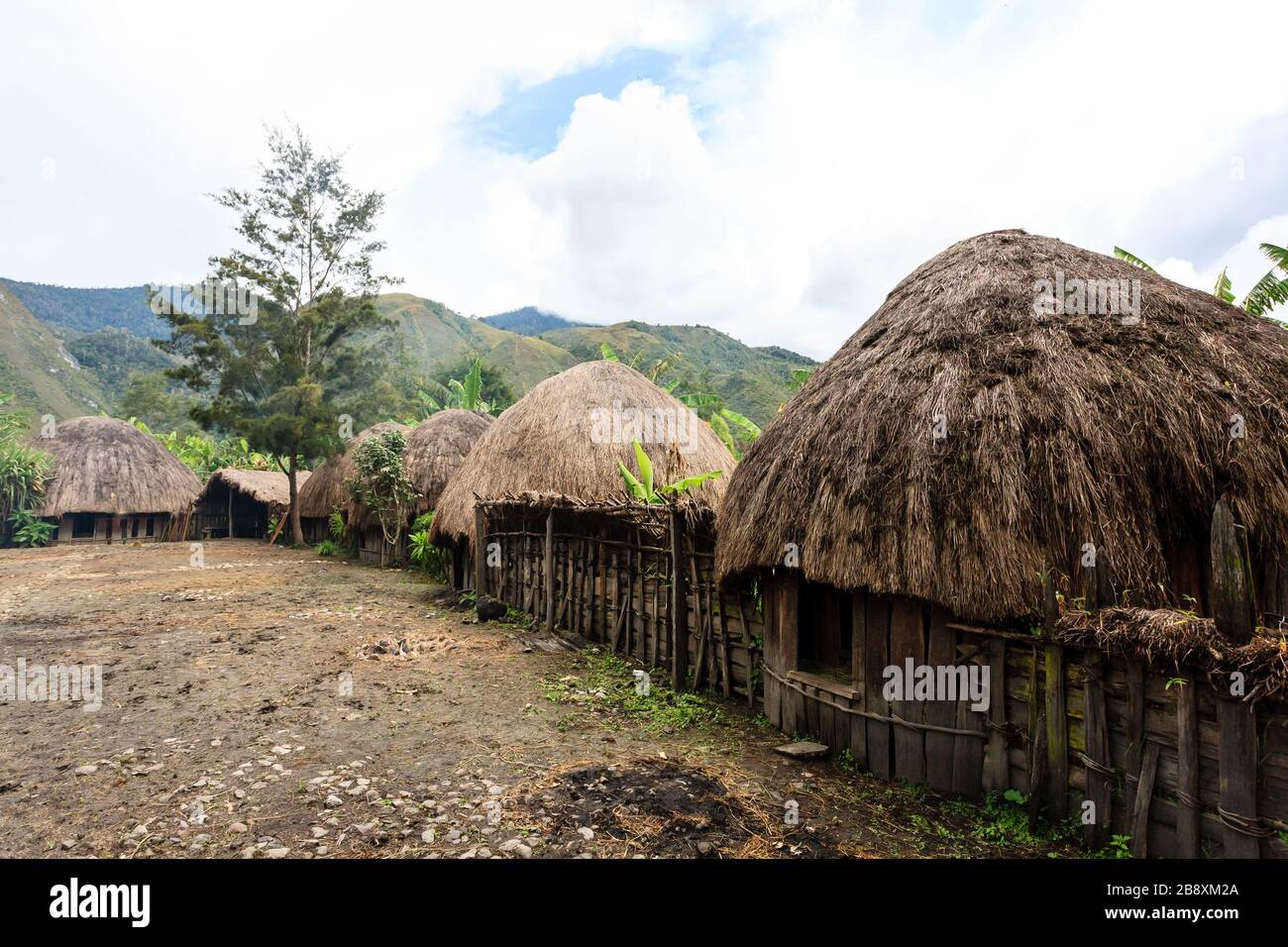 Traditional Dani village in Papua New Guinea, Wamena, Indonesia Stock ...