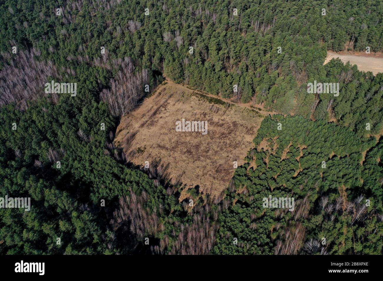 Amazon deforestation aerial hi-res stock photography and images - Alamy