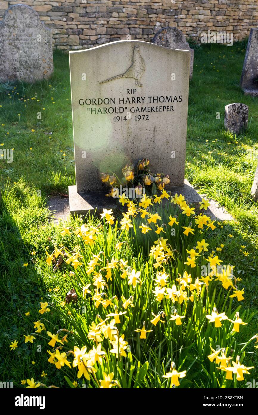 Grounds keeper portrait hi-res stock photography and images - Alamy