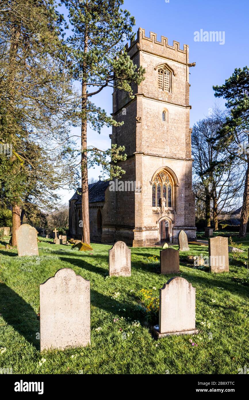 Evening light in springtime on St Johns church in the Cotswold village ...