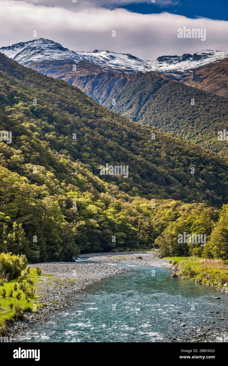 Mt Armstrong, Mt Kaye, Haast River, near Gates of Haast Bridge, Young ...