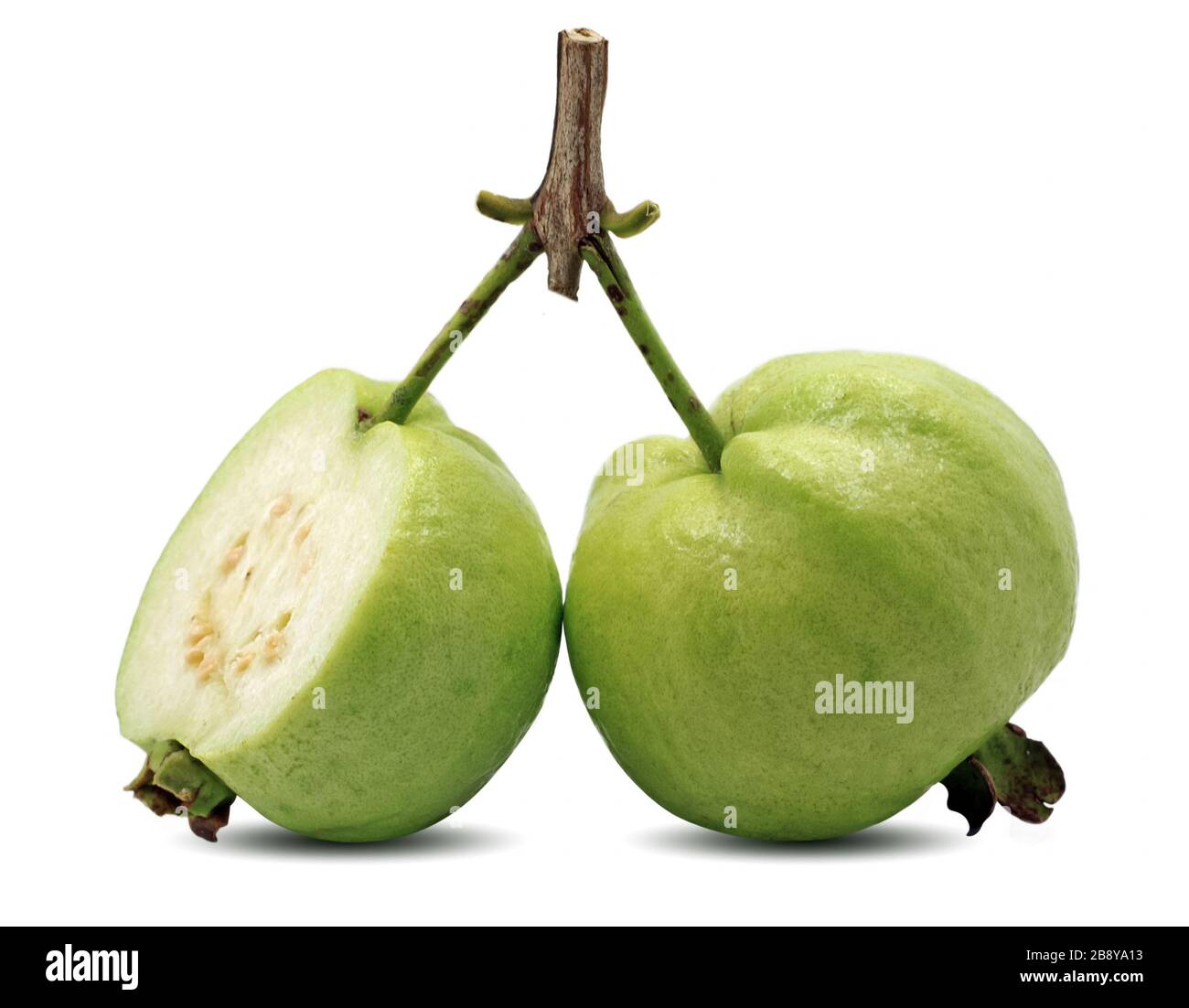 Guava fruit hi-res stock photography and images - Alamy
