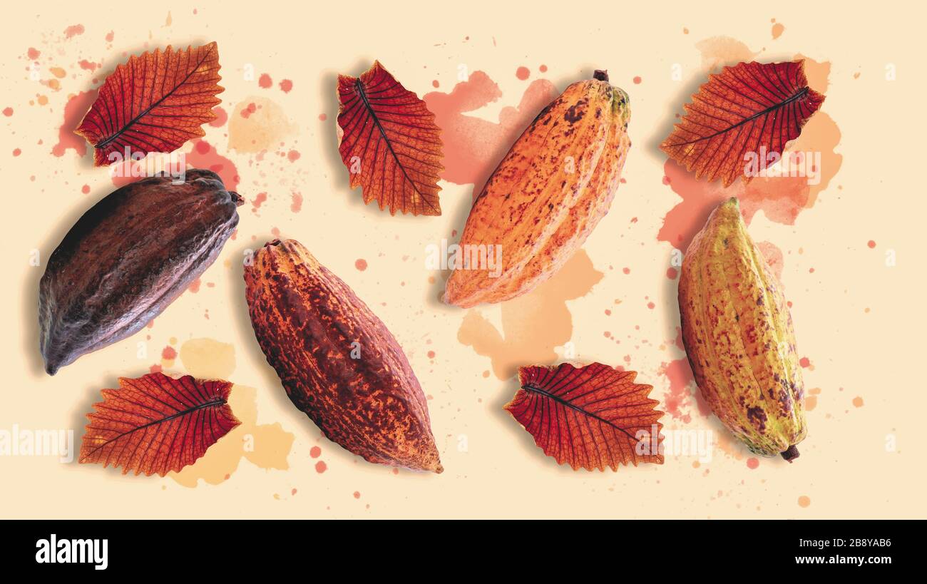 Cocoa texture hi-res stock photography and images - Alamy