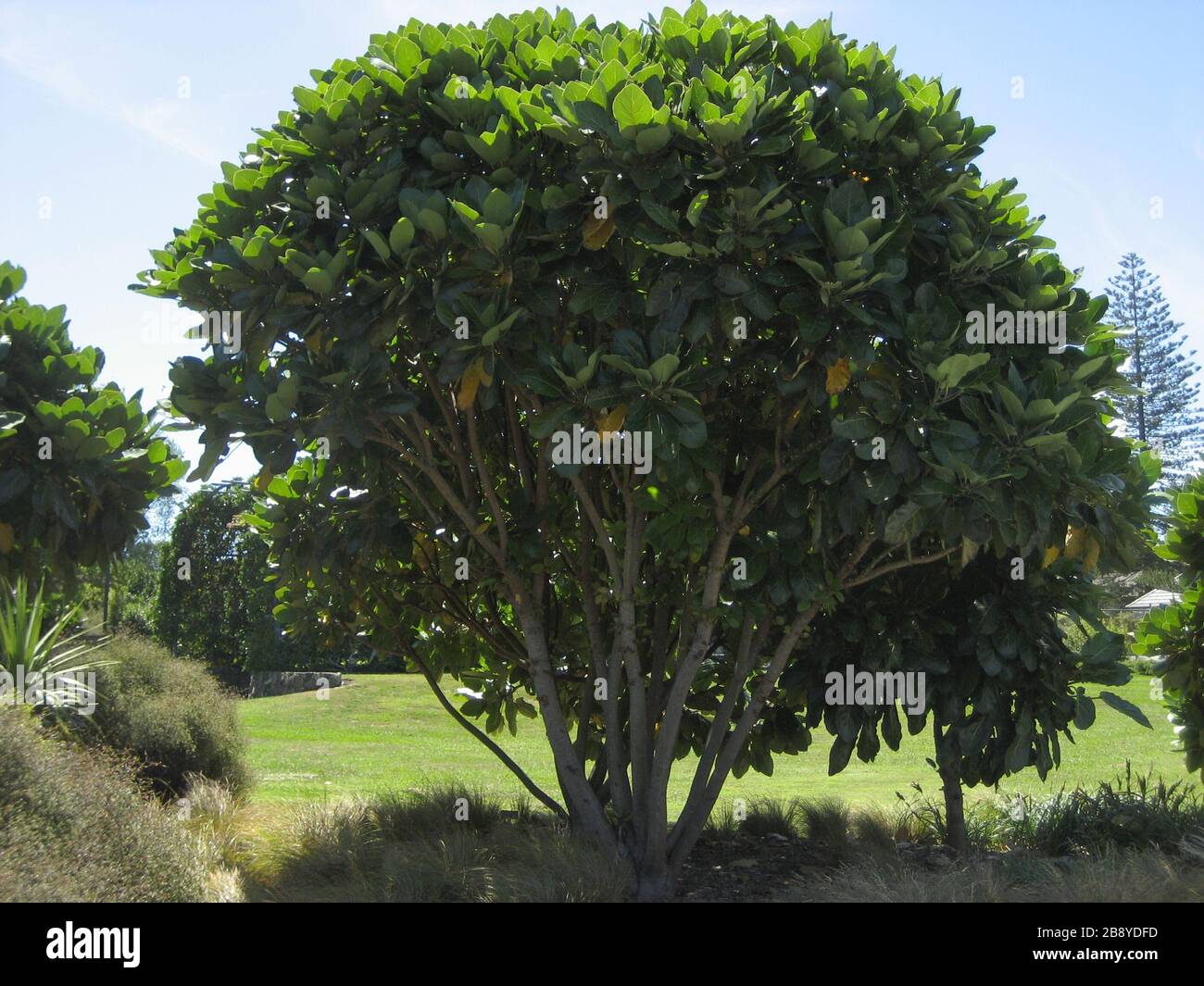 Manukau city hi-res stock photography and images - Alamy
