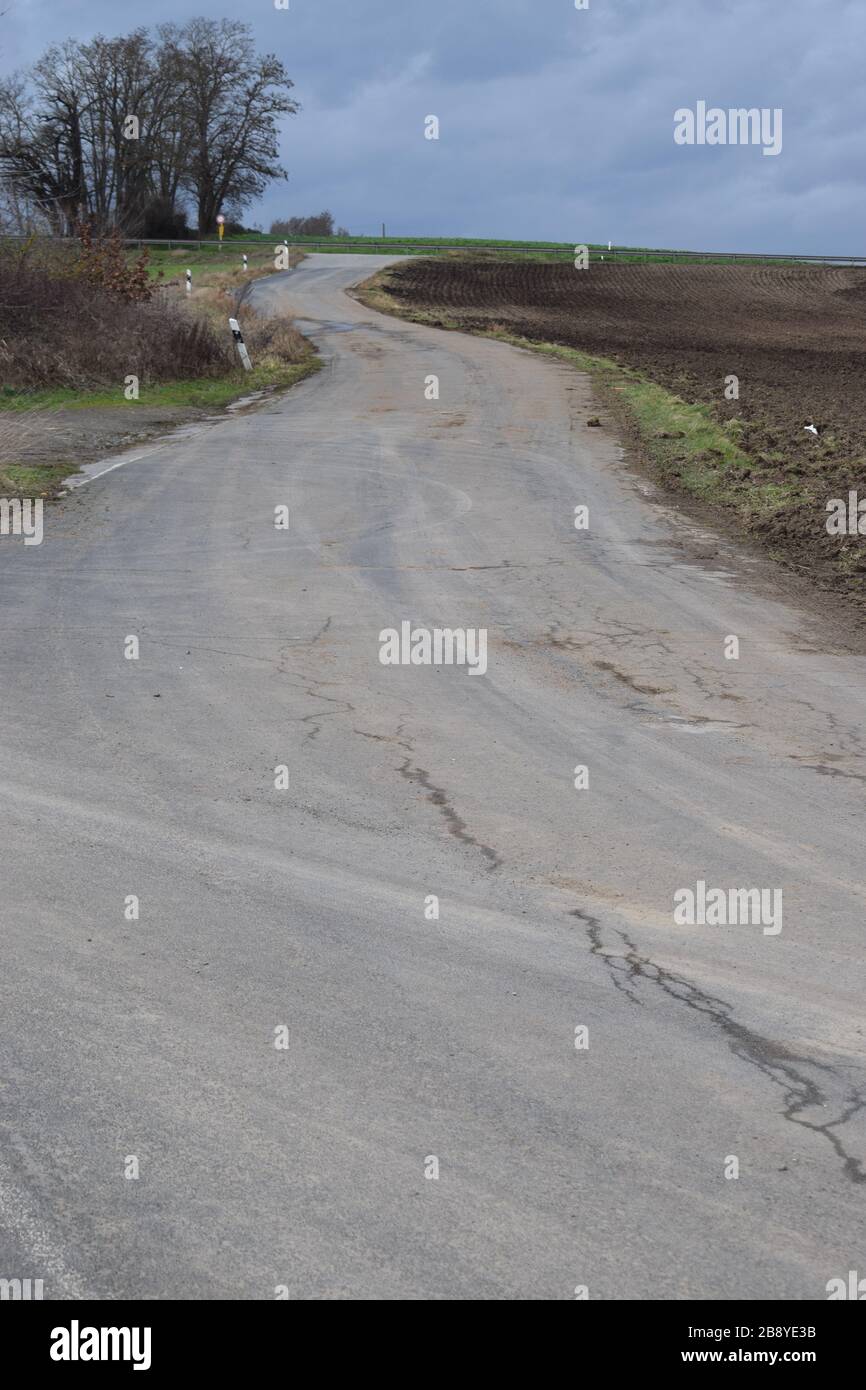 Dirt road in swampland hi-res stock photography and images - Alamy