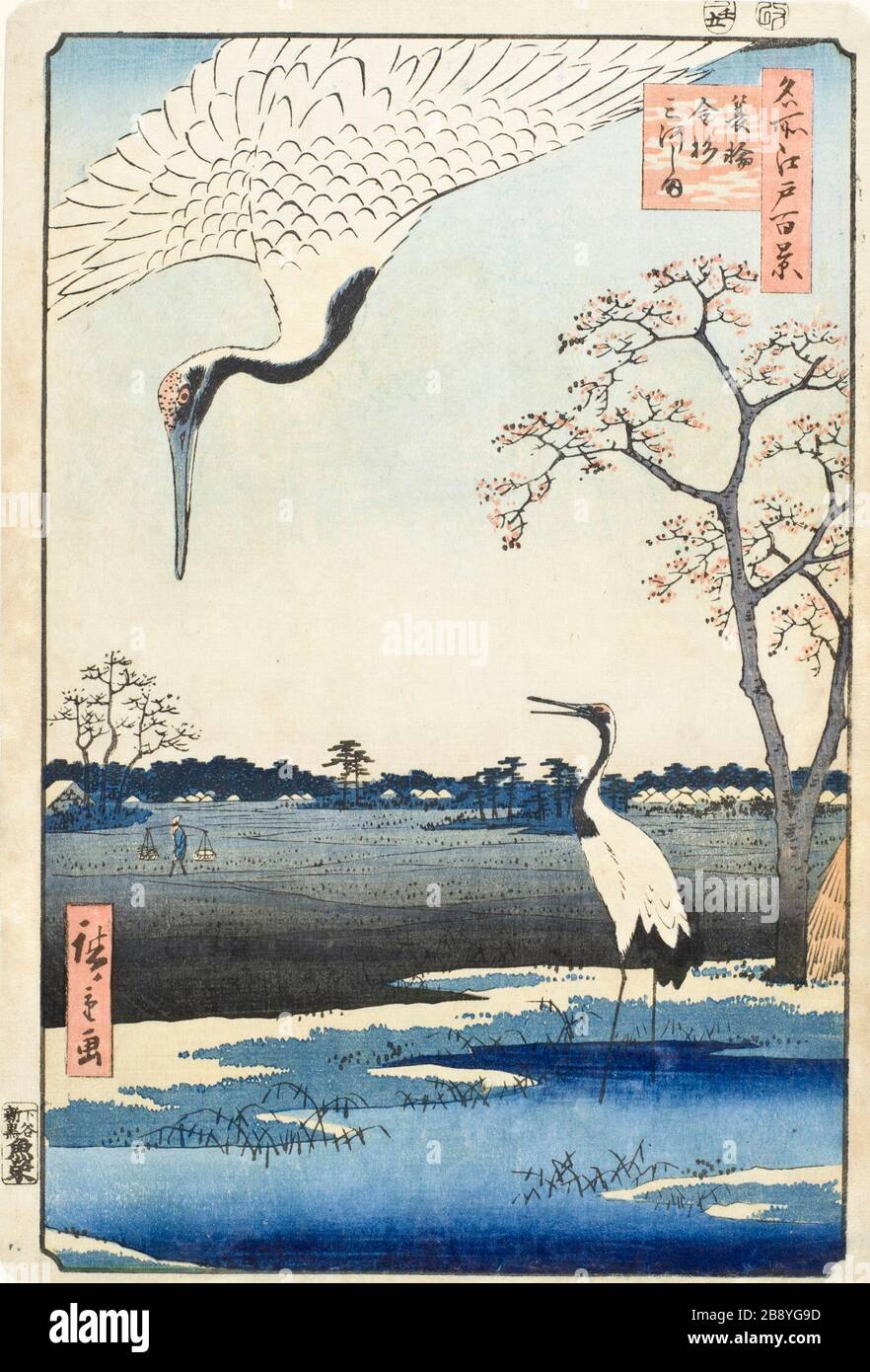 Kansugi hi-res stock photography and images - Alamy