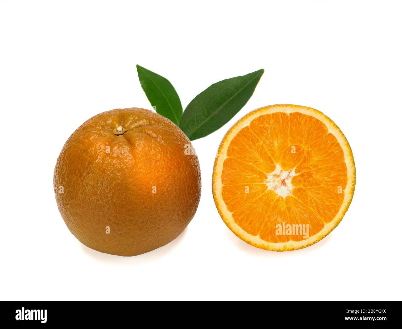 Fresh extra sweet Chocolate oranges, close-up Stock Photo - Alamy