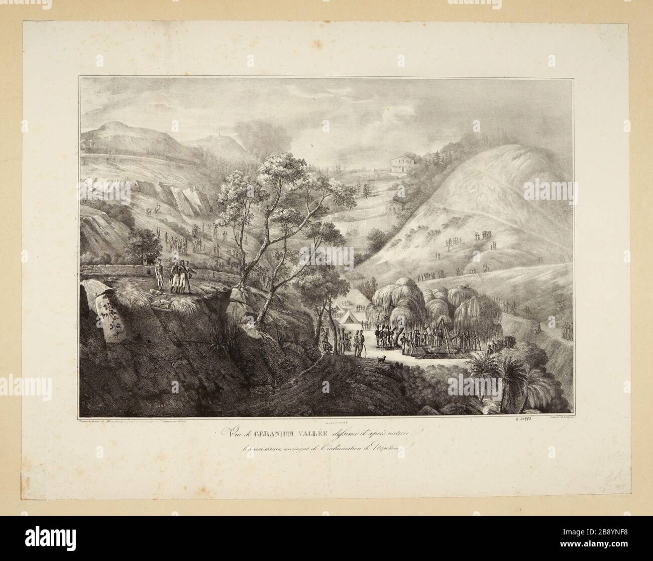 View Geranium Valley drawn from nature / May 8, 1821, at the burial of ...