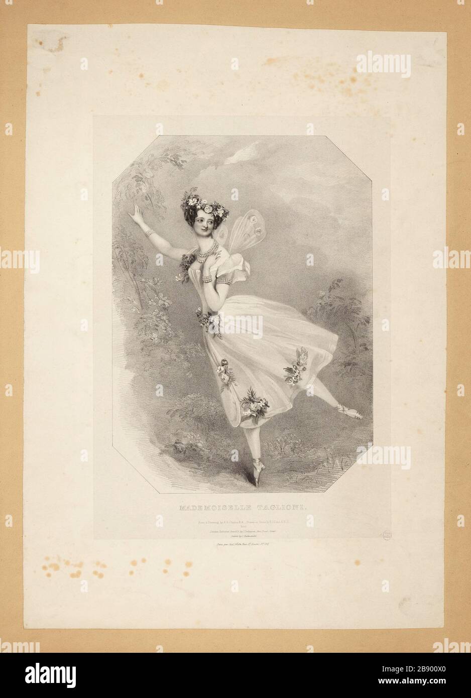 Marie taglioni la sylphide hi-res stock photography and images - Alamy