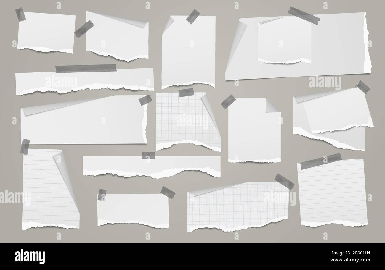 Set of torn white lined note, notebook paper strips and pieces with ...