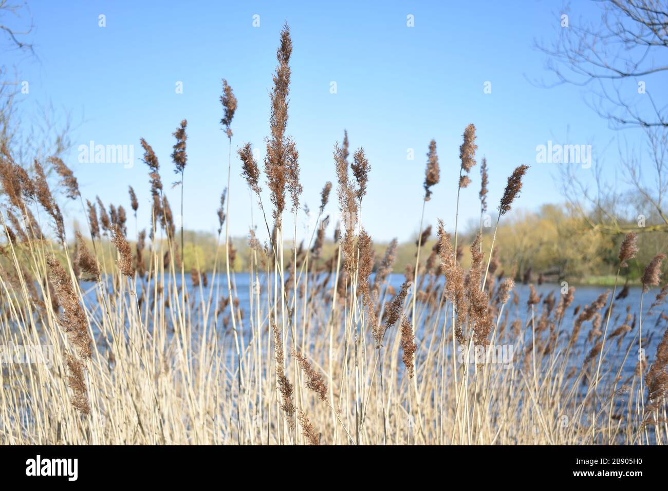 Scenes of UK Spring Stock Photo - Alamy