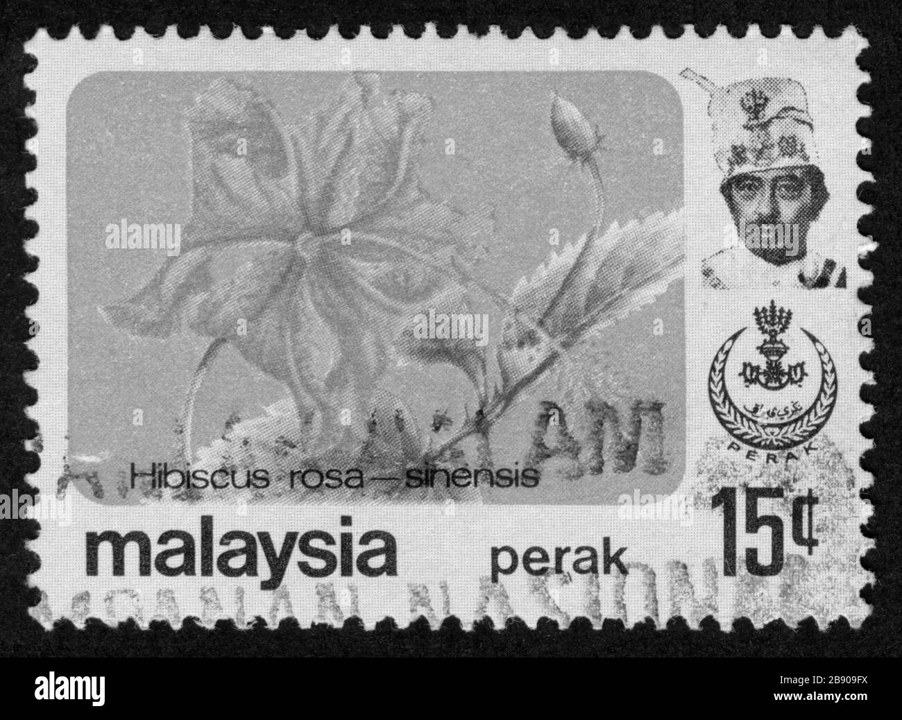 Hibiscus stamp hi-res stock photography and images - Alamy