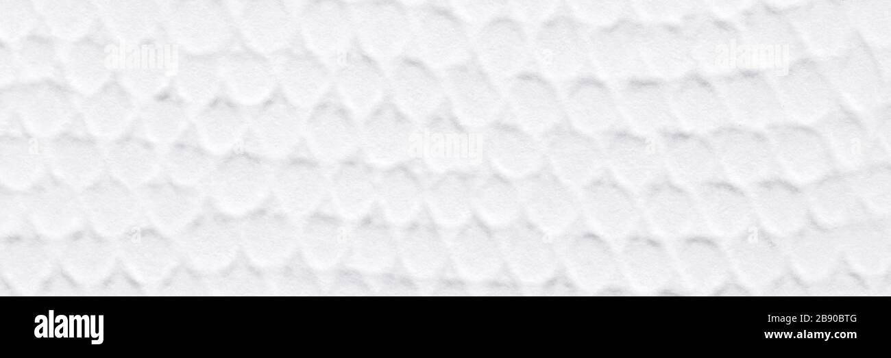 Your elegant new paper texture in white color. High resolution photo ...