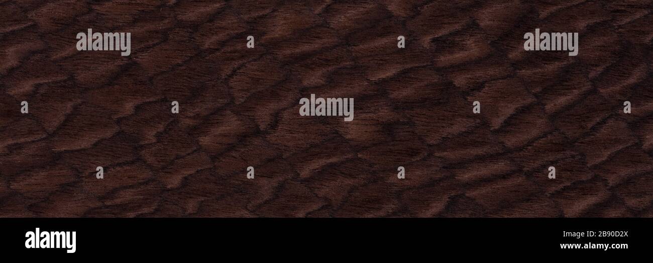 Expensive designer veneer background with unique brown surface. High ...