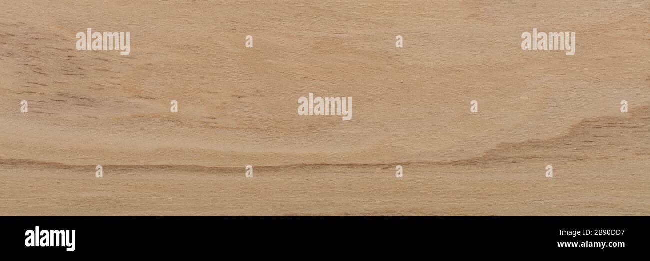 Perfect light beige oak veneer background as part of your design. High ...