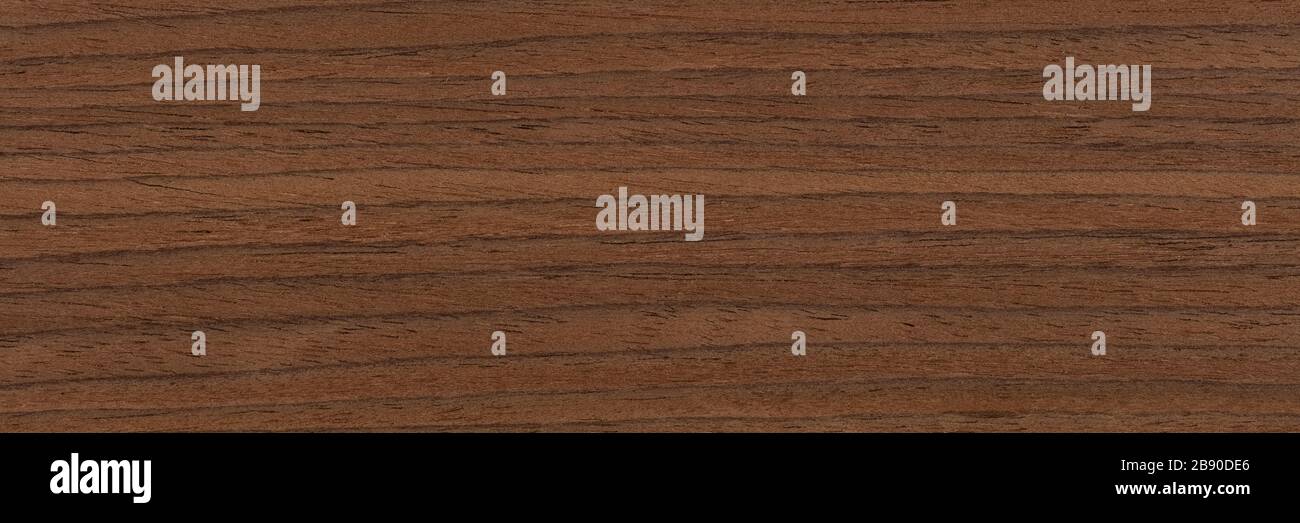 Natural dark brown nut veneer background as part of your design. High ...