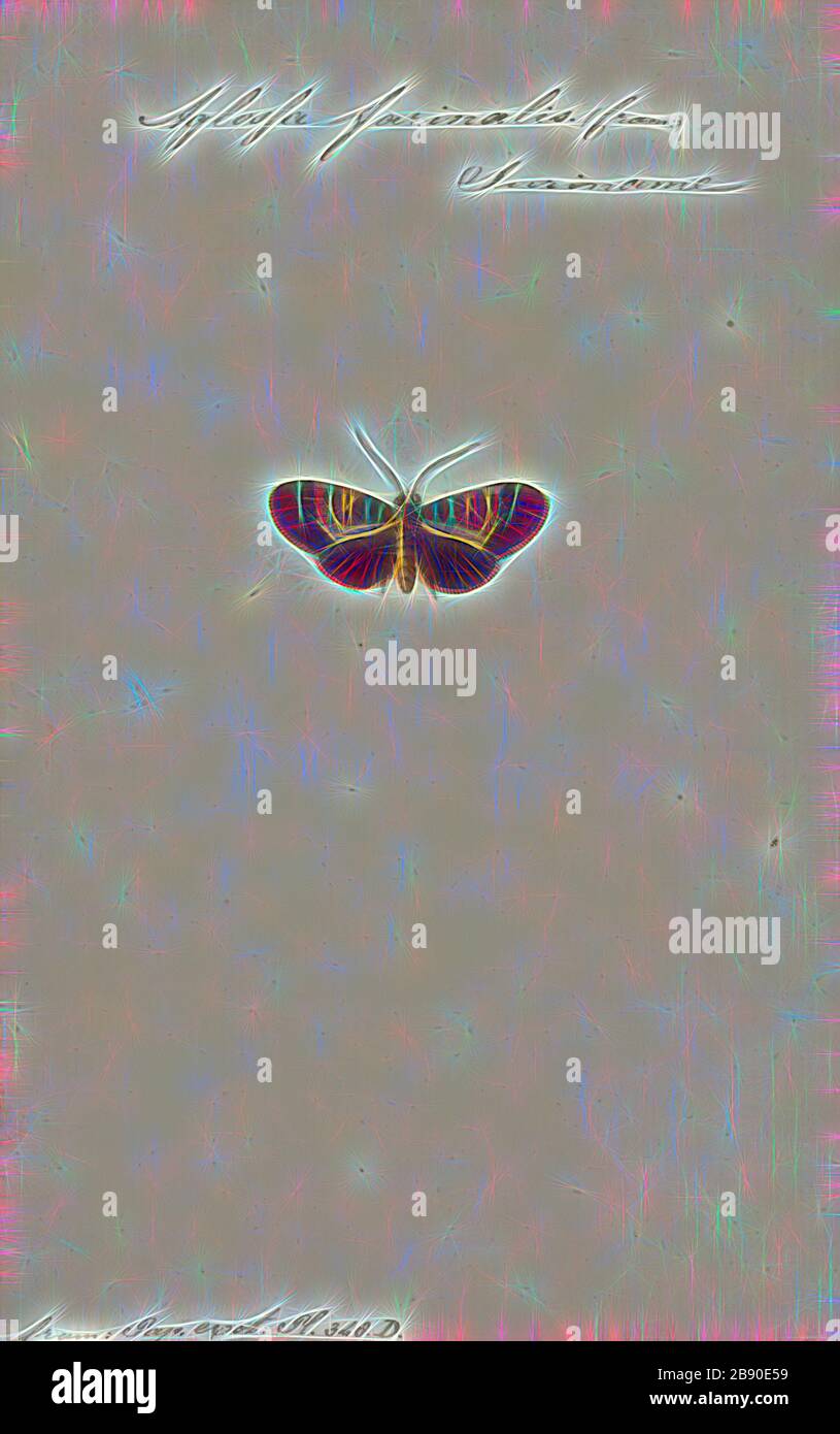 Aglossa species hi-res stock photography and images - Alamy