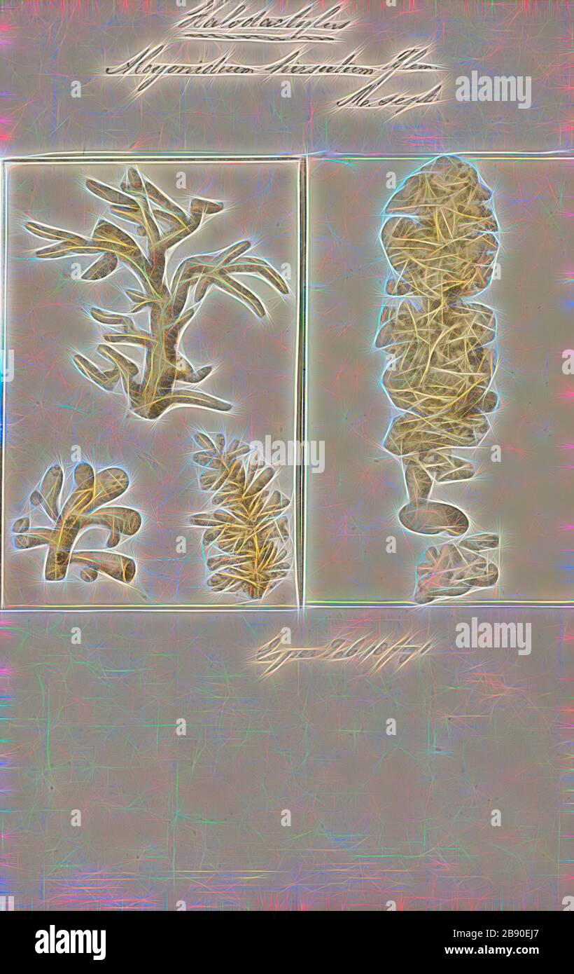 Papillae surface hi-res stock photography and images - Alamy